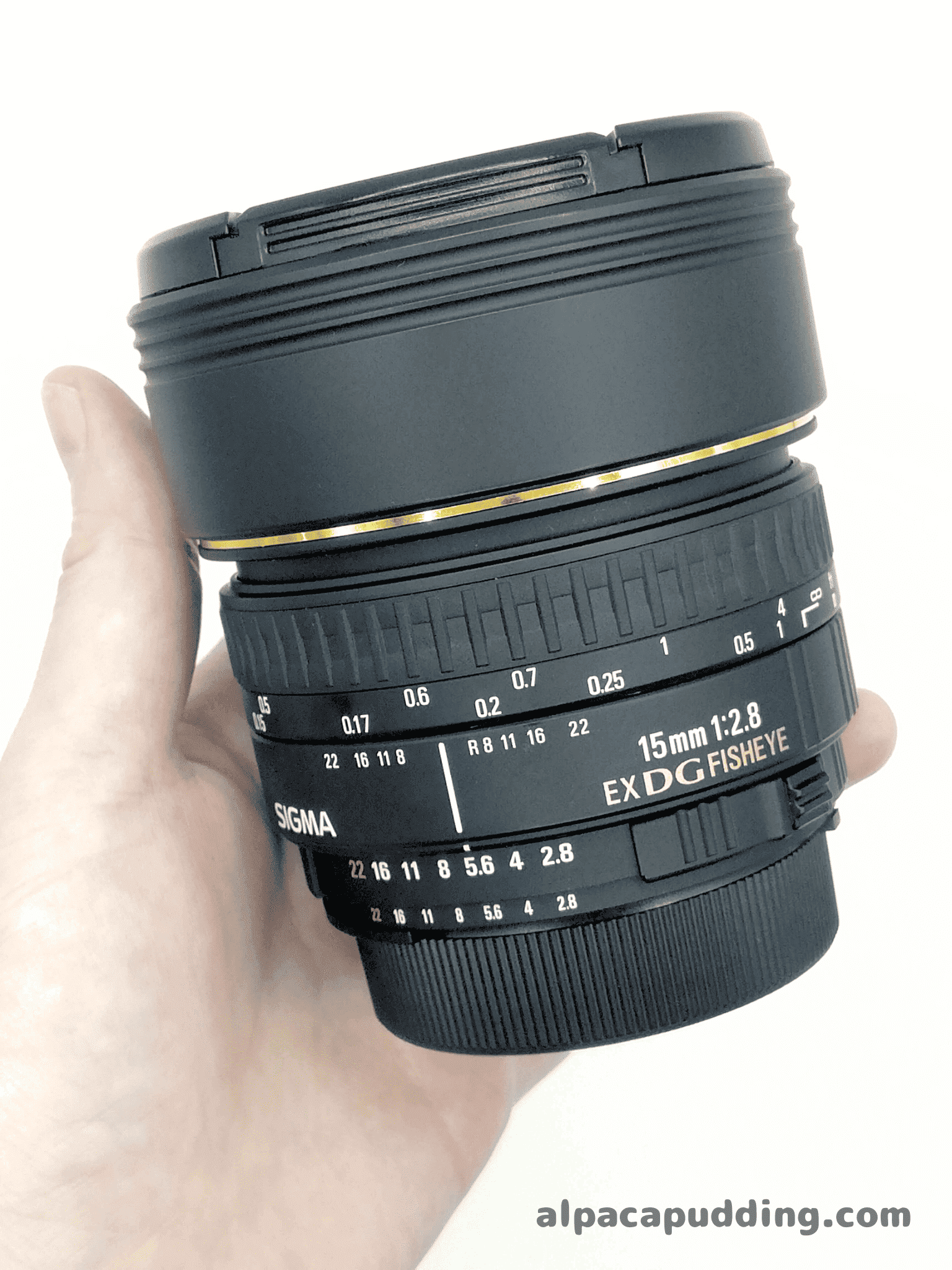 【初めての魚眼レンズ レビュー】「シグマ 15mm F2.8 EX DG DIAGONAL FISHEYE」をレンタルしてみた！ - あるぱかぷりん
