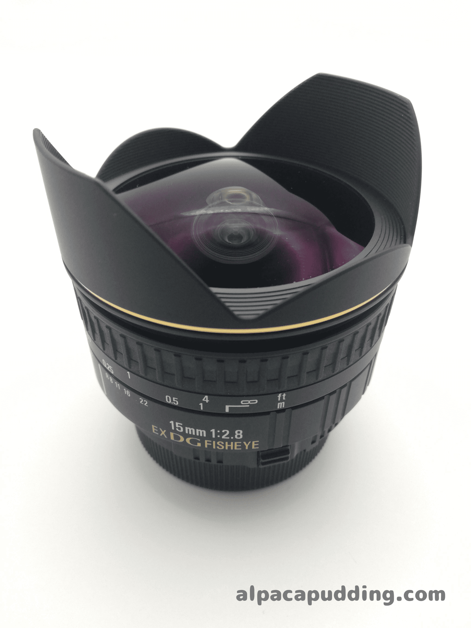 【初めての魚眼レンズ レビュー】「シグマ 15mm F2.8 EX DG DIAGONAL FISHEYE」をレンタルしてみた！あるぱかぷりん